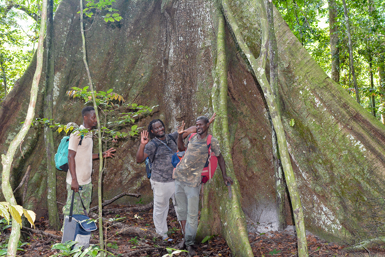 Mama Aline | About Gabon
