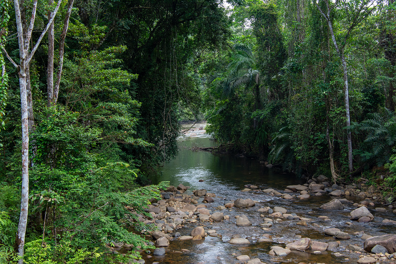 Mama Aline | About Gabon